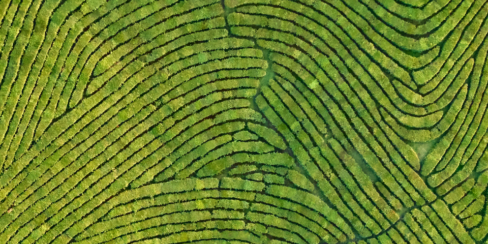 First Eagle Investments - Investment Strategies and Mutual Funds